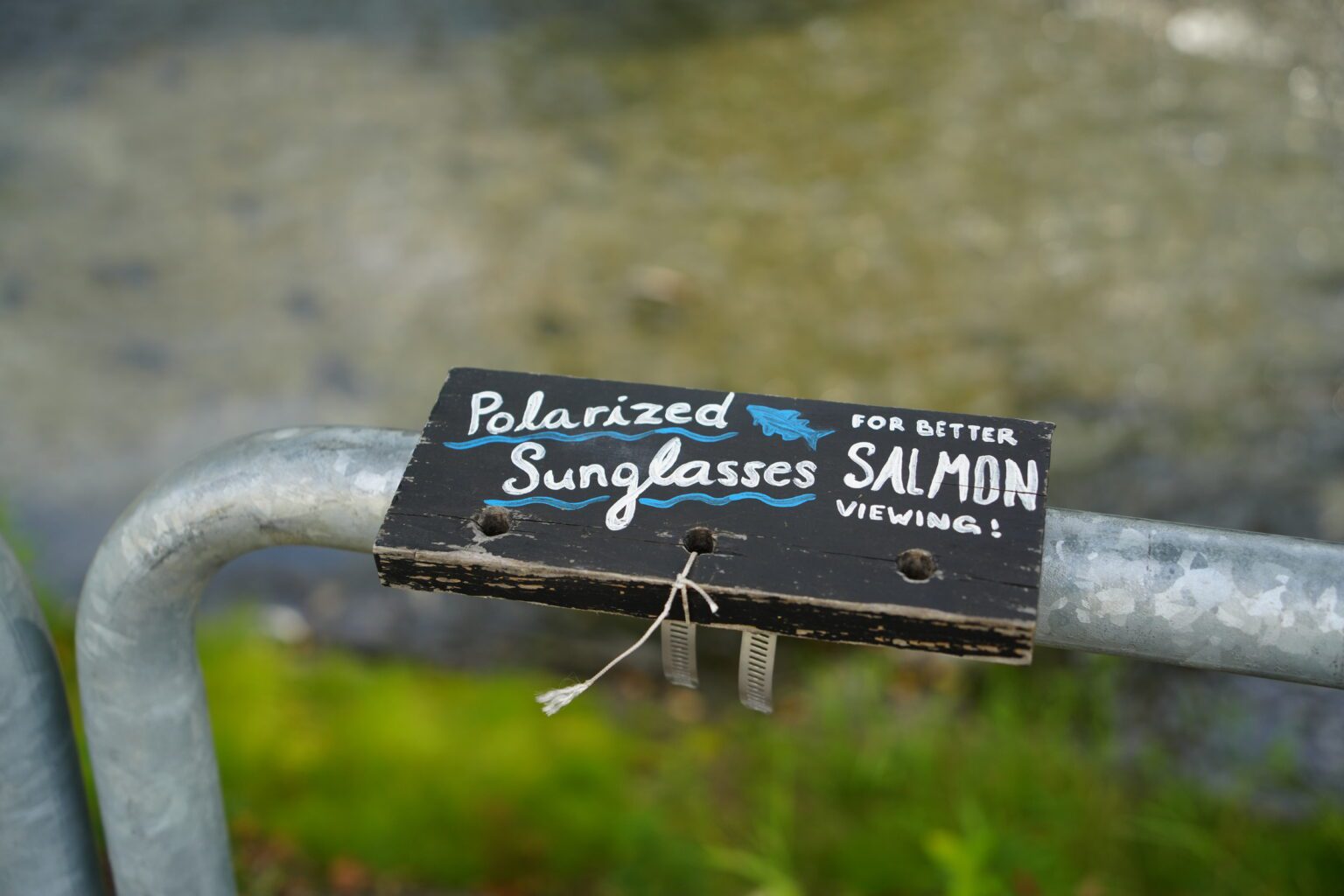 Tours - anchoragetrolley